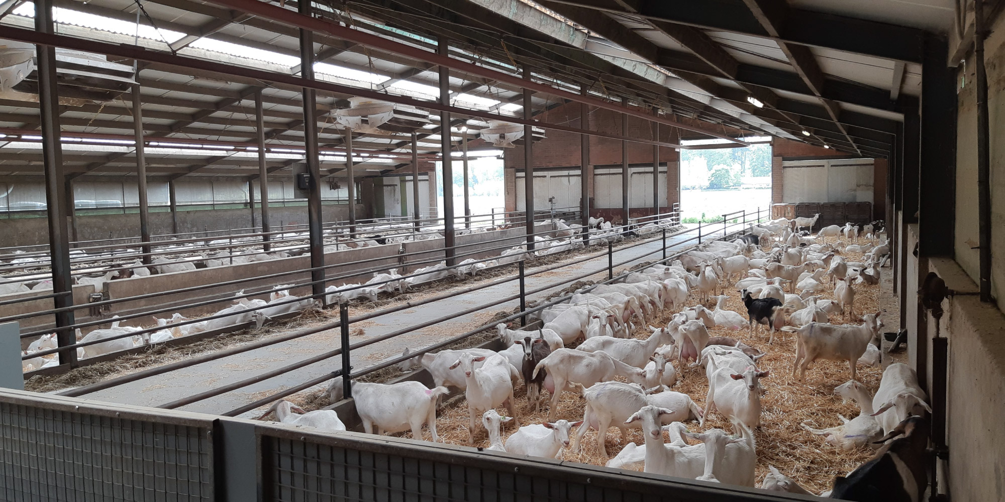 imec.icon project - Bolucap | imec Vlaanderen